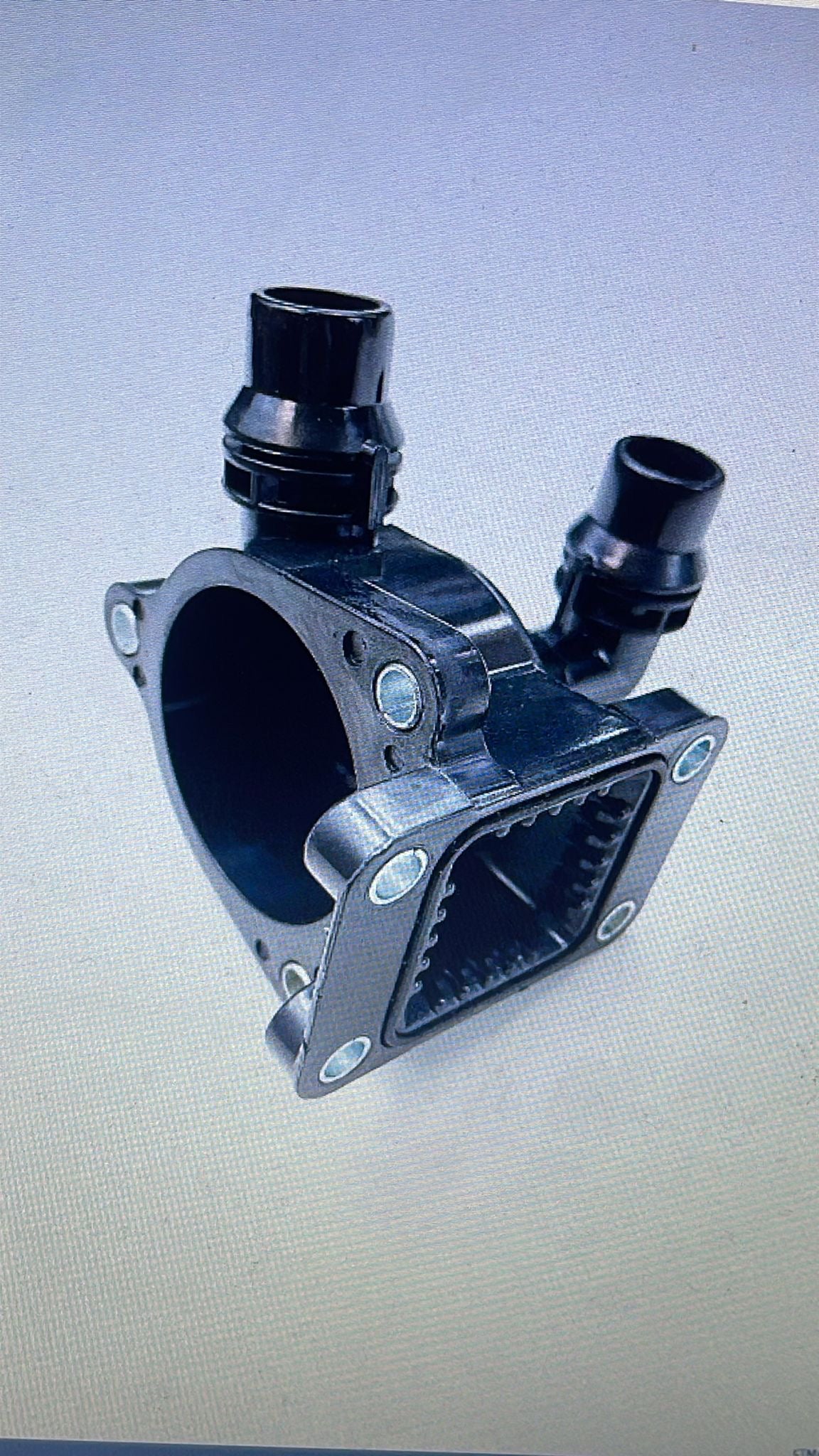 Thermostat Housing - Genuine BMW – Anthony Seddon Racing
